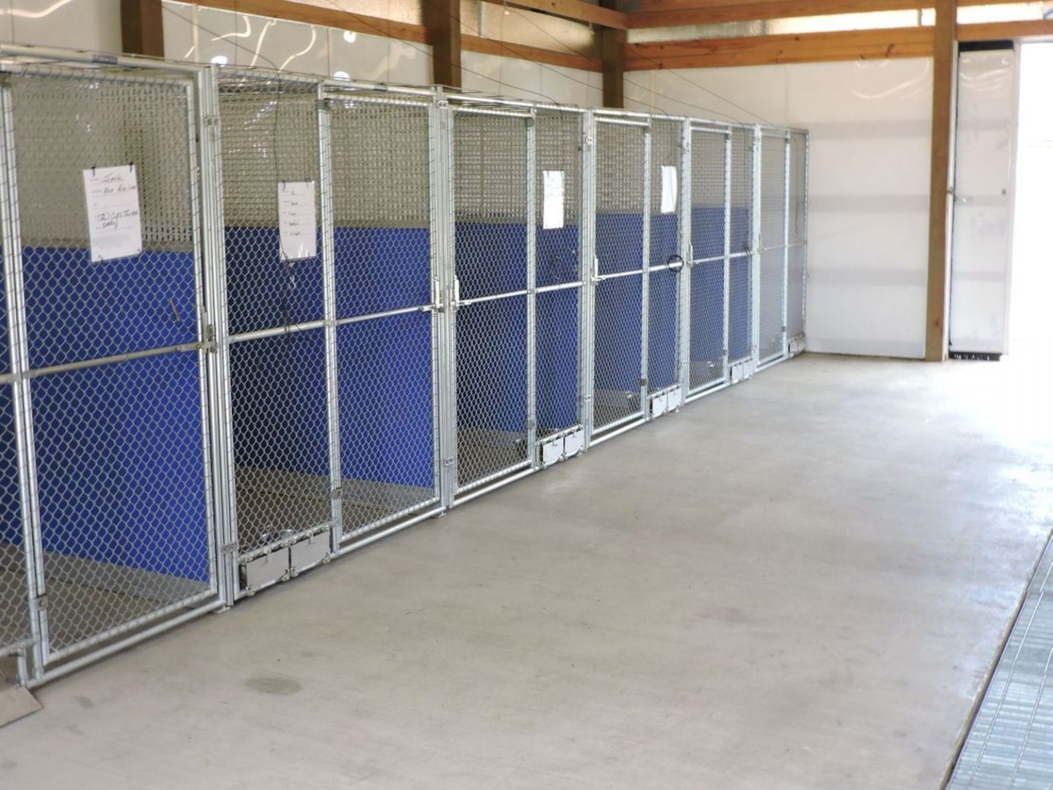 SRK Dog Training – Texas Dog Trainers