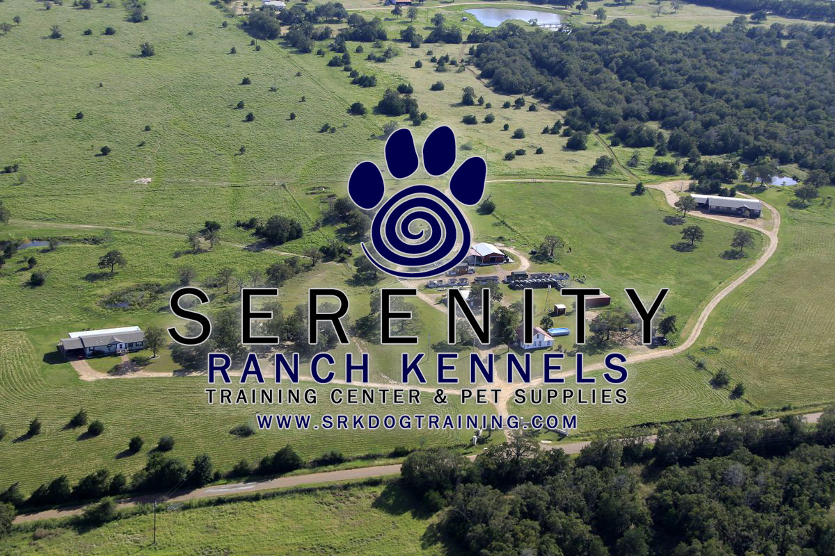 Dog Trainers | Teax Dog Training | Board & Train at Serenity Ranch